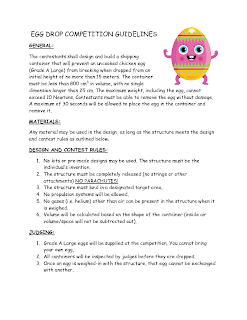 What Did We Learn in Physics?: Egg Drop Project