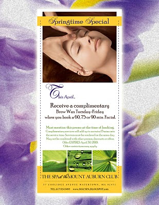 MAC Spa: Facial Promo: free brow wax