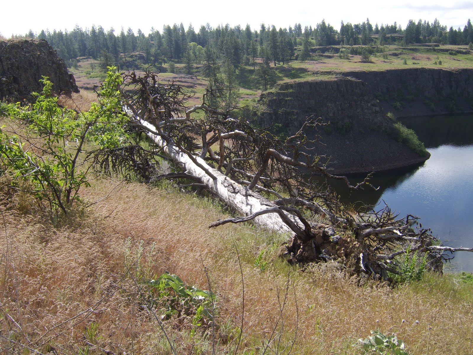 Adventuring On: North End of Hog Lake- Same Day
