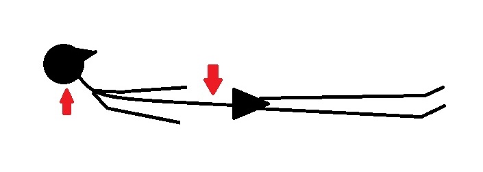 Fisio's Blog: WILLIAM FLEXION EXERCISE