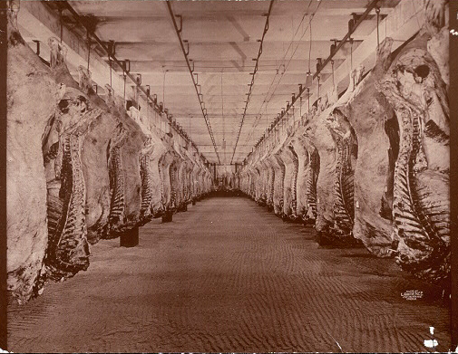 A History Blog: The Meatpacking Industry During The Early 1900's