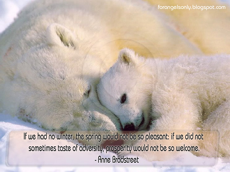 Winter Quotes ForAngelsOnly winter-quotes-forangelsonly