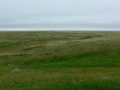 21st Century Odyssey: Fort Pierre National Grasslands.