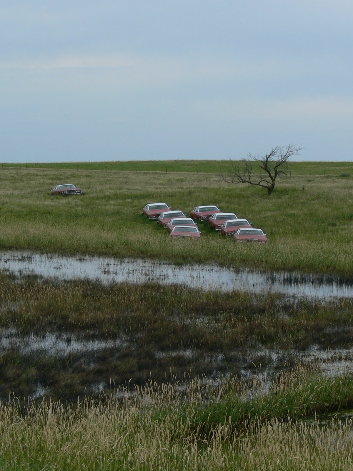 21st Century Odyssey: Fort Pierre National Grasslands.