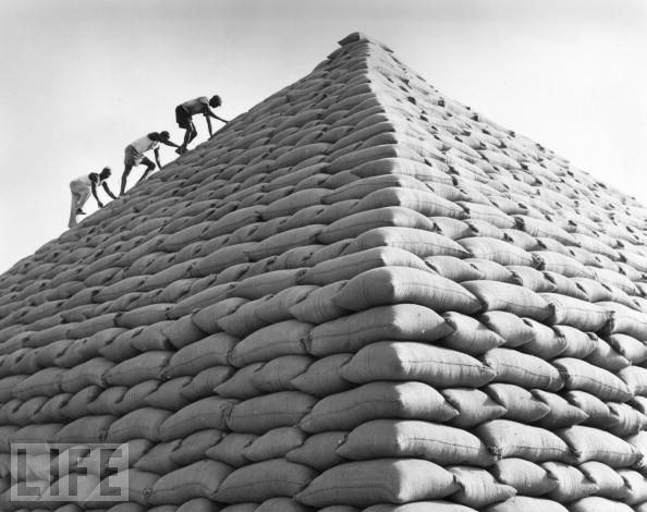Groundnut Pyramids In Kano In The 1960's - Agriculture (2) - Nigeria