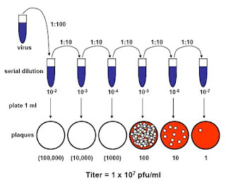why is everything so confusing?