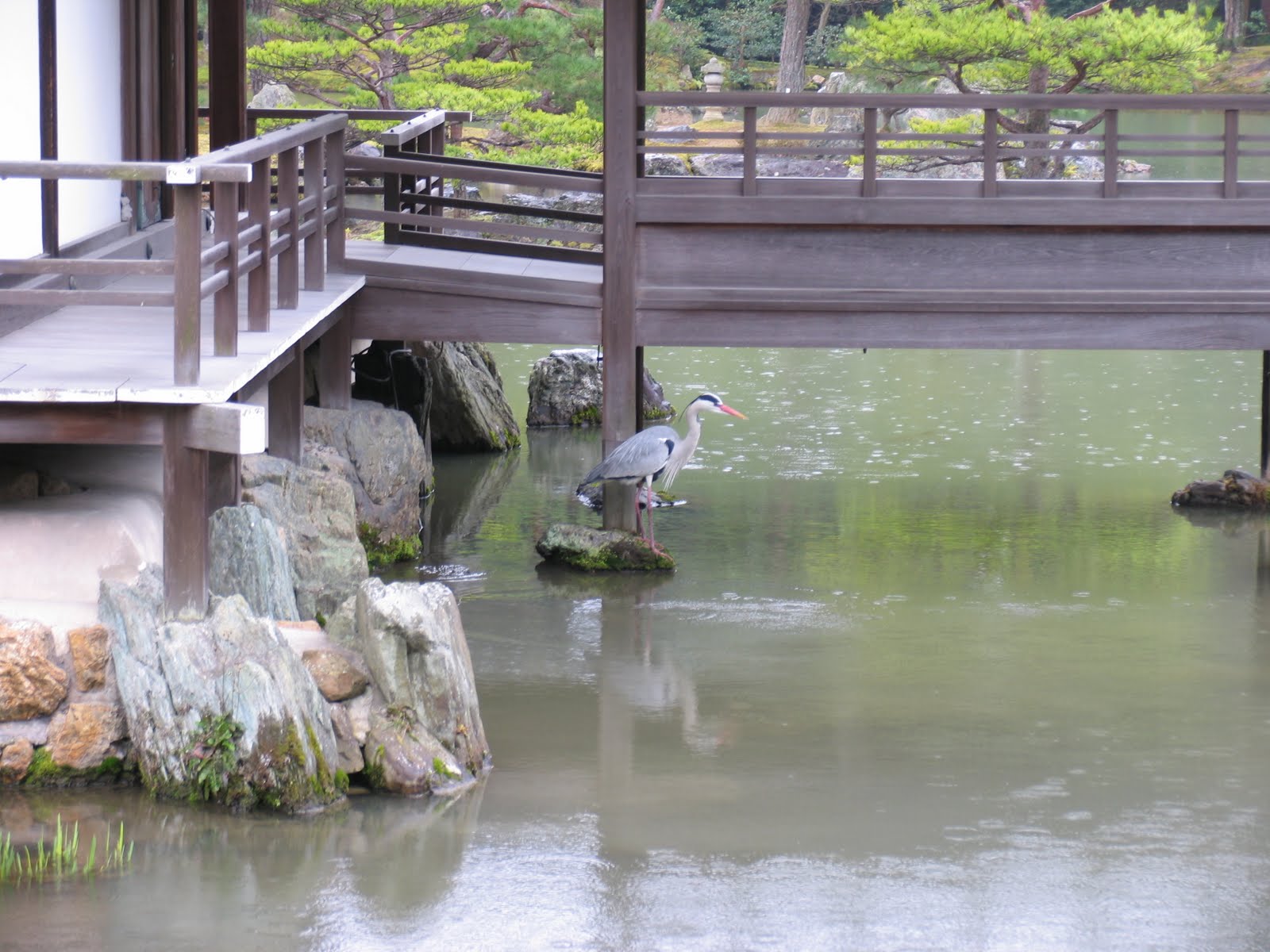 The Life and Times of Ken Schrock: Golden Temple