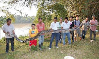 da|NATURALIST: 6m-long python killed by villagers