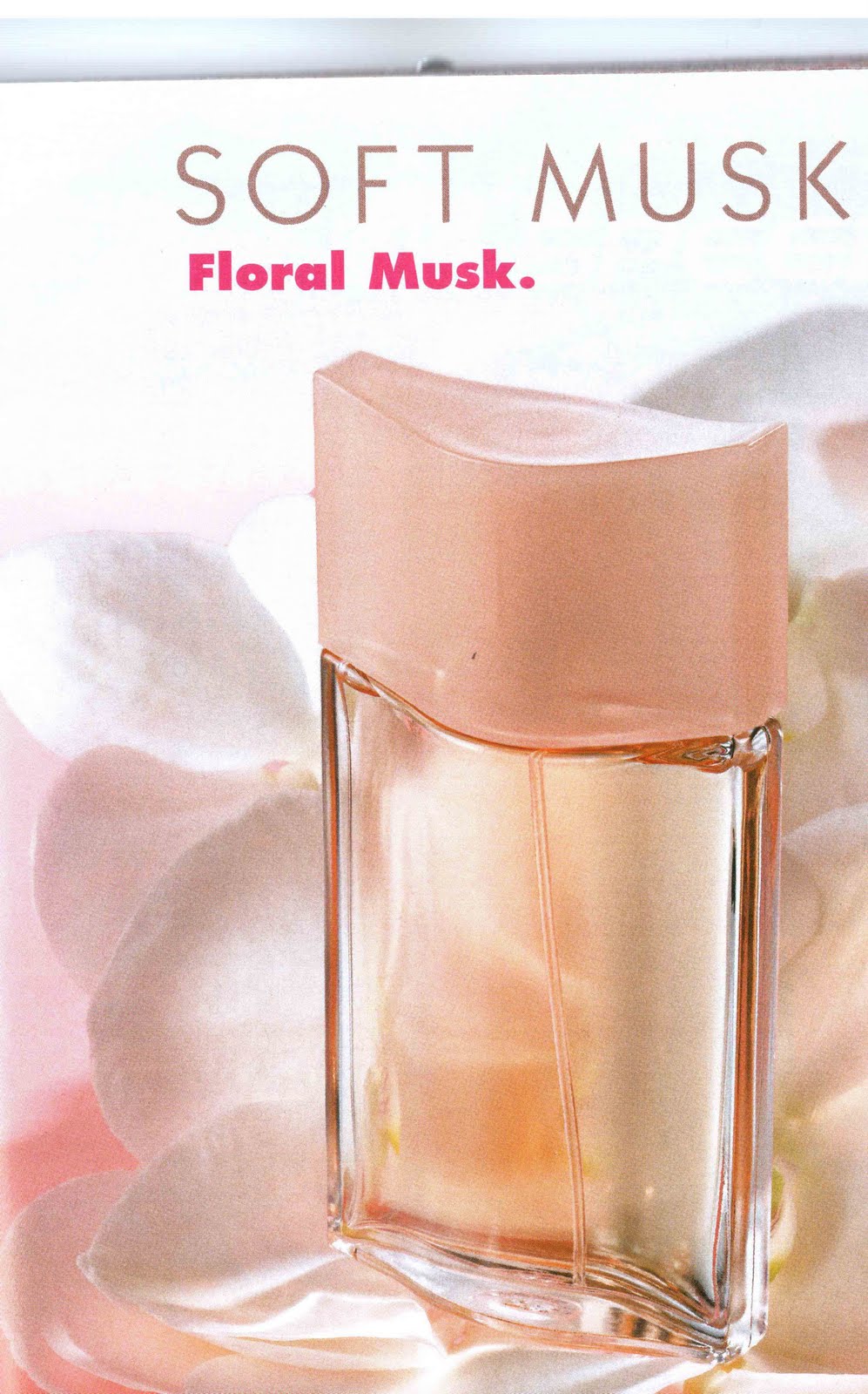 usados e novos: Eau de Toilette Avon Soft Musk 74