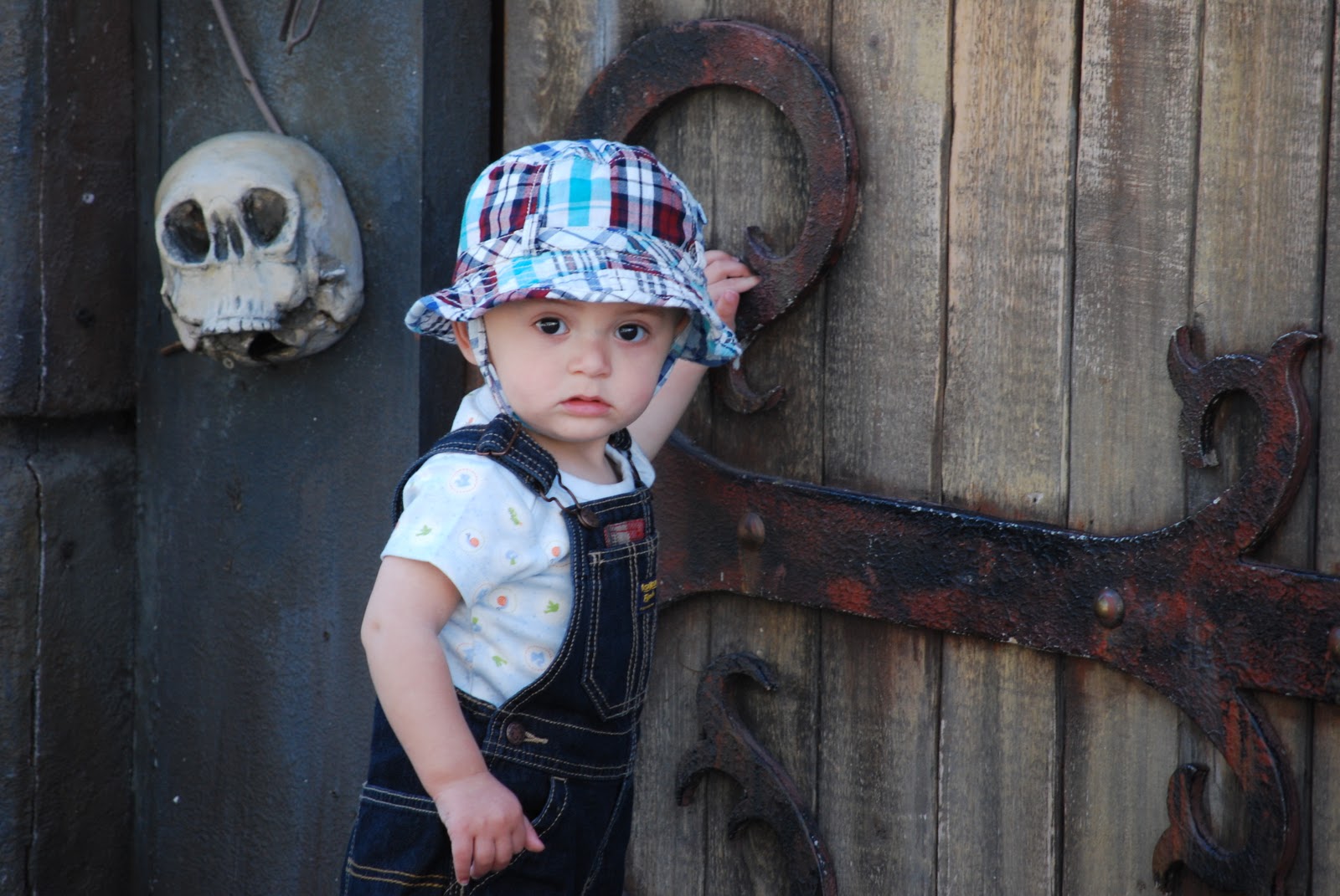 The Blake-Hames Family: Universal Studios Hollywood