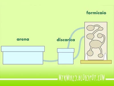 Myrmikes: Costruire il formicaio in gesso - cpt. 2 - Lo schema e il ...