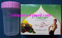 Yakin Jaya Enterprise: Natasya