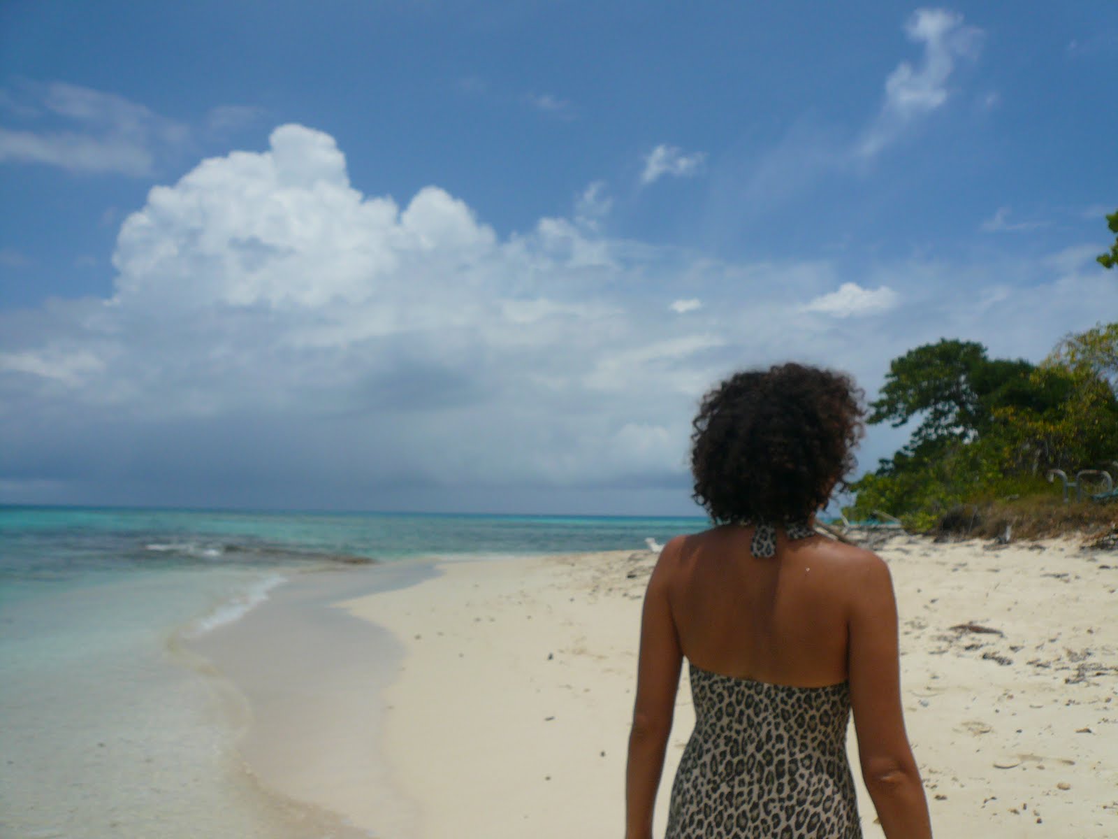 Alisha Buck Instagram, Twitter & Facebook on IDCrawl