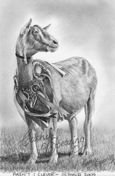 Cathy Spearing - Equestrian and animal artist.: Another from the ...