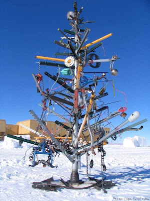 Fresh Pics: The World’s Most Unusual Christmas Trees