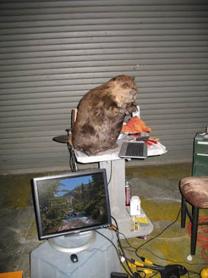 Fresh Pics: Beaver PC Modding