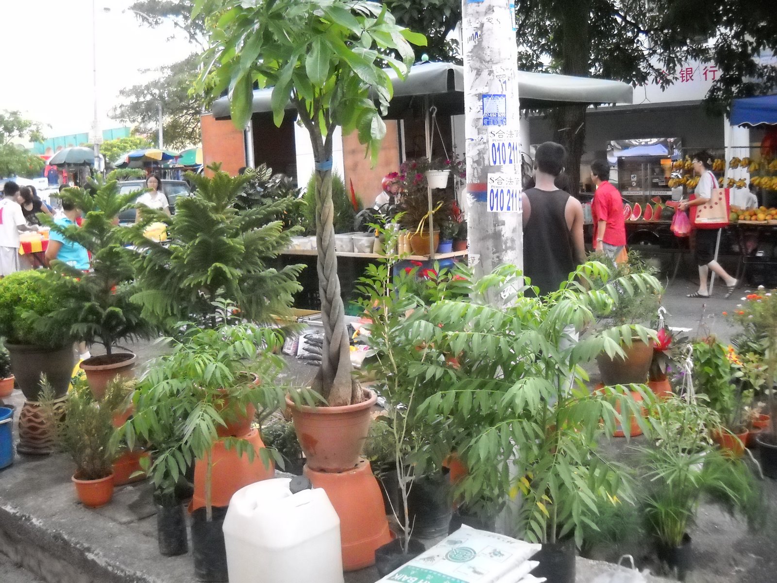 Stories from Around the World: Flower stall OUG market