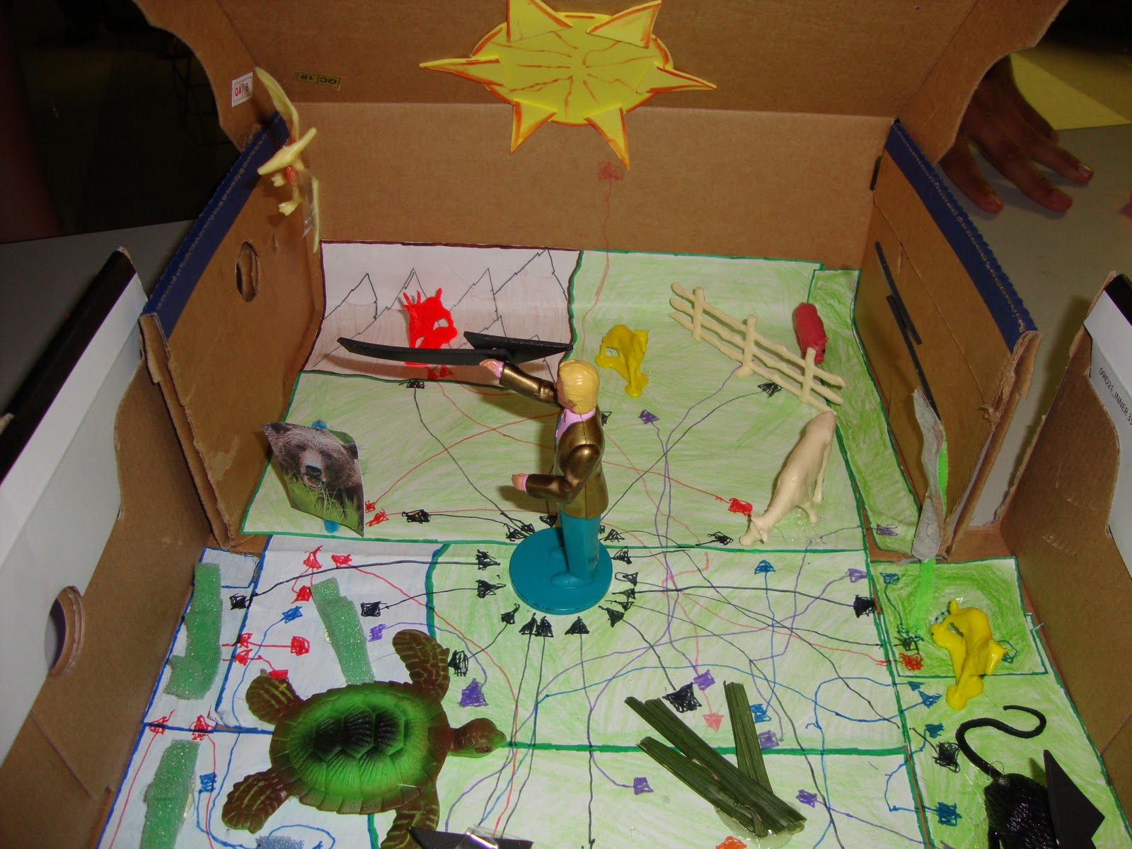 Biology Rocks!!: 3D Food Webs