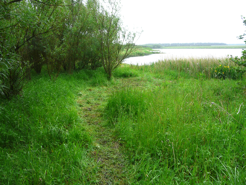 Druridge Diary: June 2010