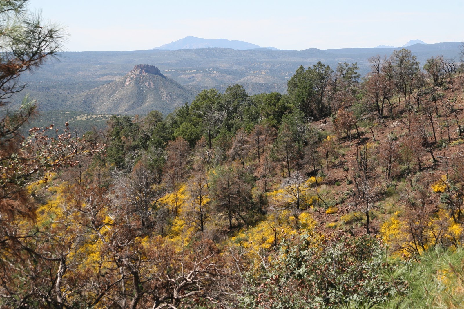Darren's Rides: Trip To Young AZ.