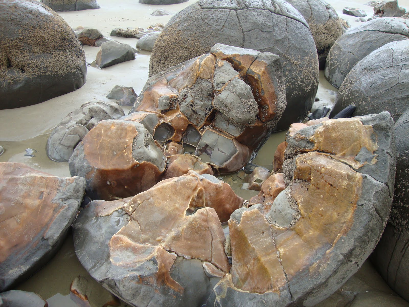 New Zealand- Here We Come!: Moeraki Boulders