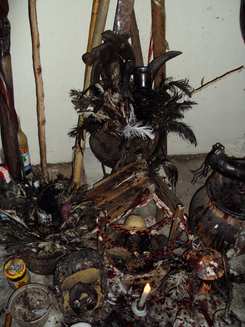 tata macho palo mayonbe venezuela