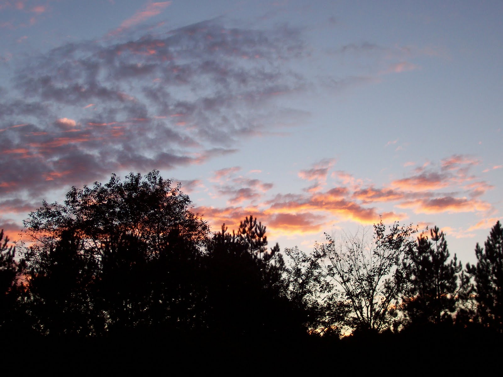 The Mum and The Rose: Evening Fall Sky.