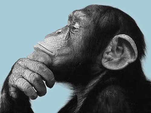 Hojas de vida: QUÉ COSAS ¿NO?