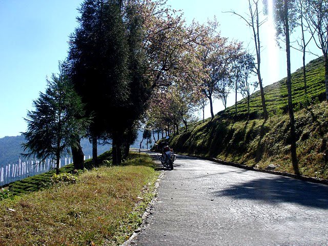 Vivek Barun: Sikkim - Some Fresh Photos.