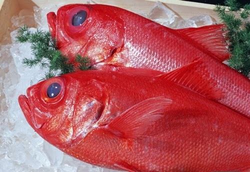 About Additive: UK FSA welcome Public Guidance on Shelf Life of Frozen Food