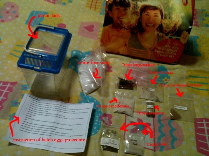 Jeffery's Diary: Triops Diary - First received Triops growing kit