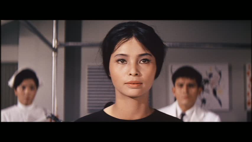 Akiko Wakabayashi Godzilla