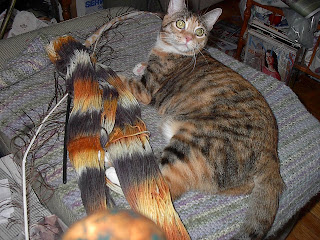 Four Paws And Some String: Calico Cat Yarn