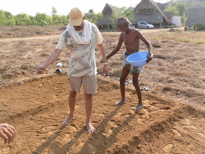 Farm, yeah: ragi crop - experiences