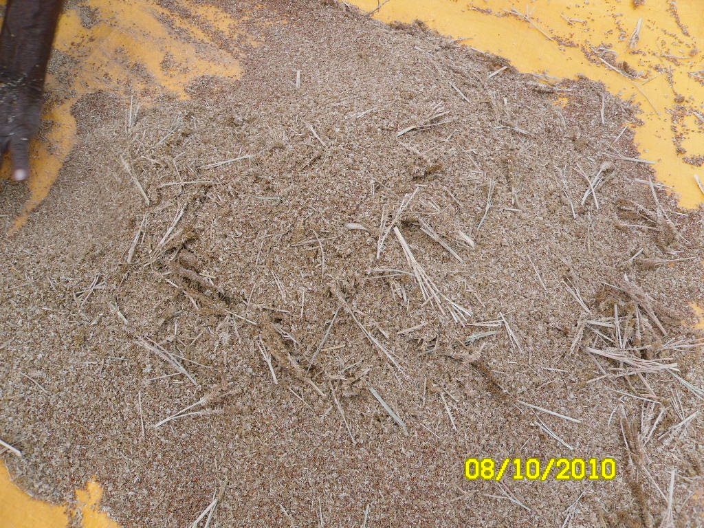 Farm, yeah: ragi - processing and onwards