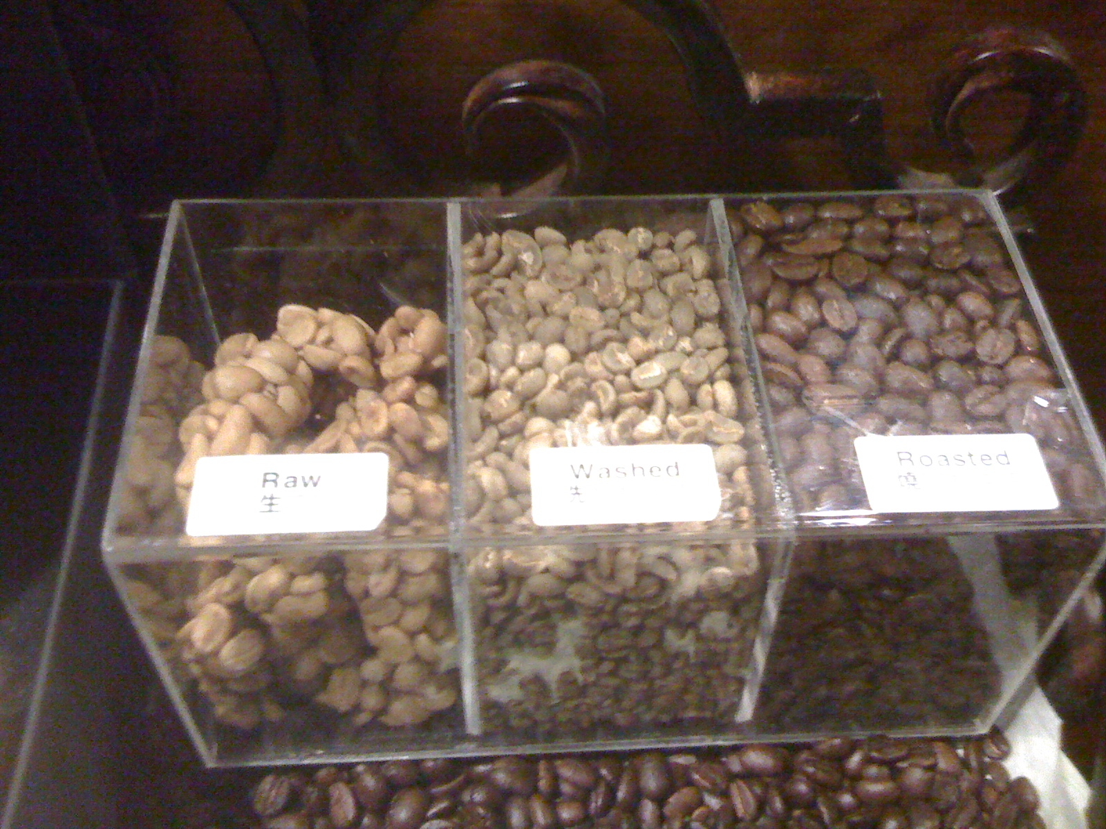 GlobalGoodFood: Cat Poo Coffee "Kopi Luwak"