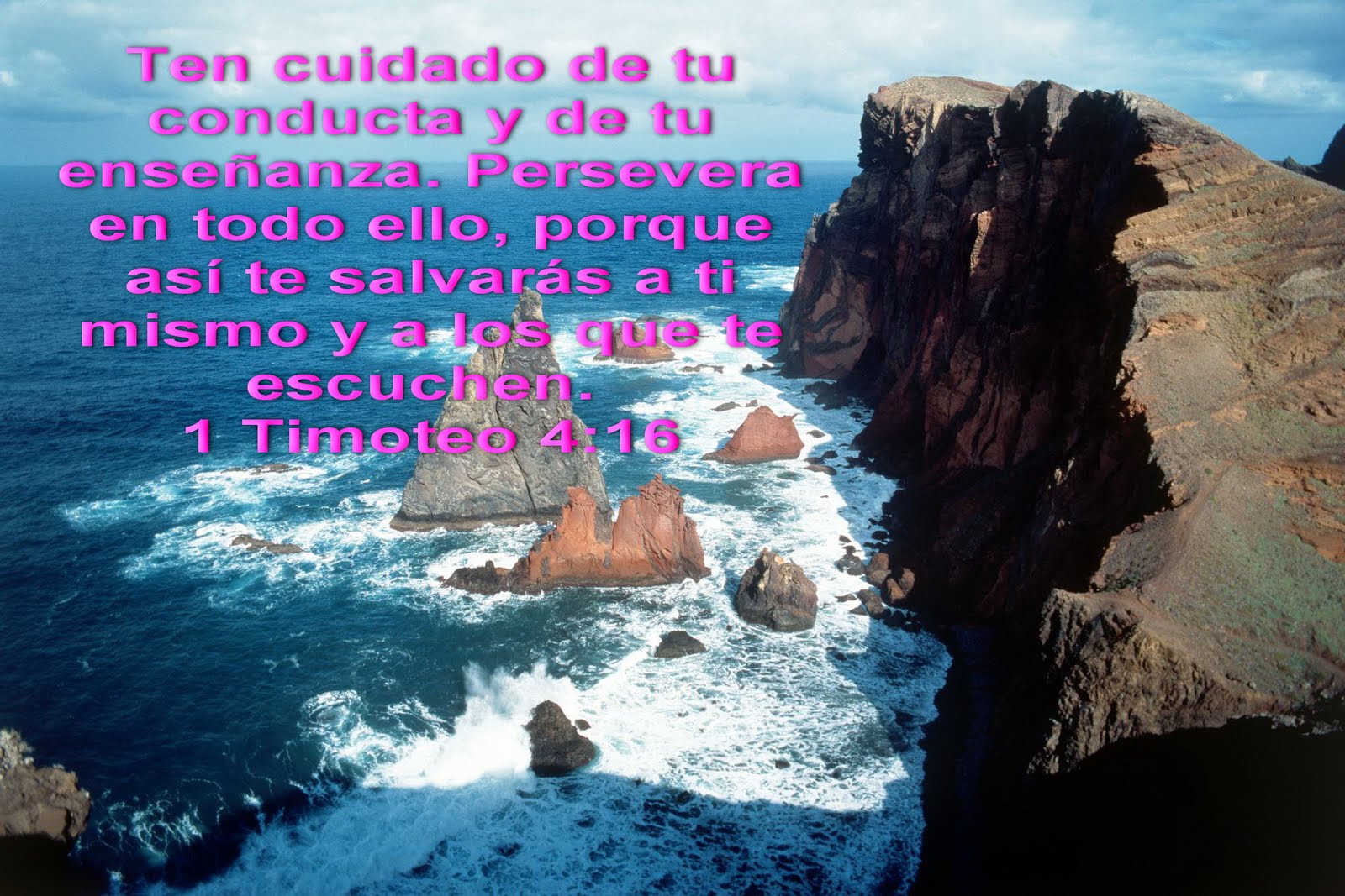 La Santidad como tarea.: Primera epístola a Timoteo