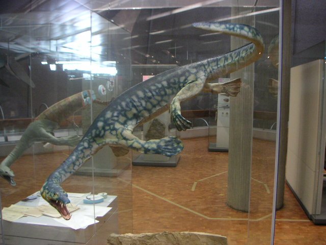 Animales prehistóricos: Nothosaurus