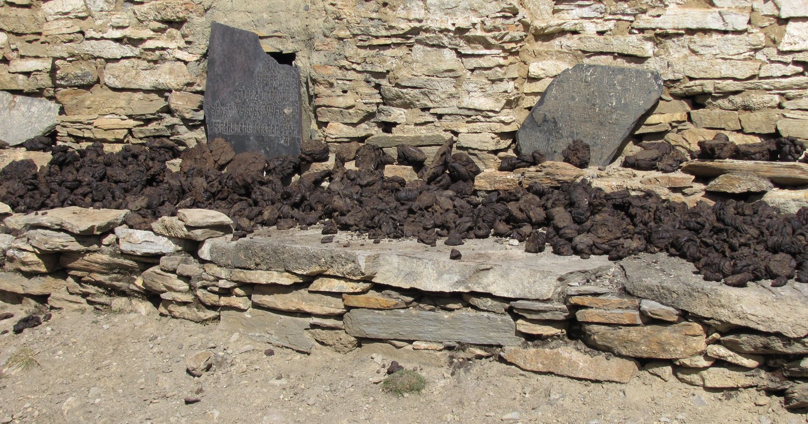 geno's blog: Trailside Attractions, Revelations and Other Funky Stuff