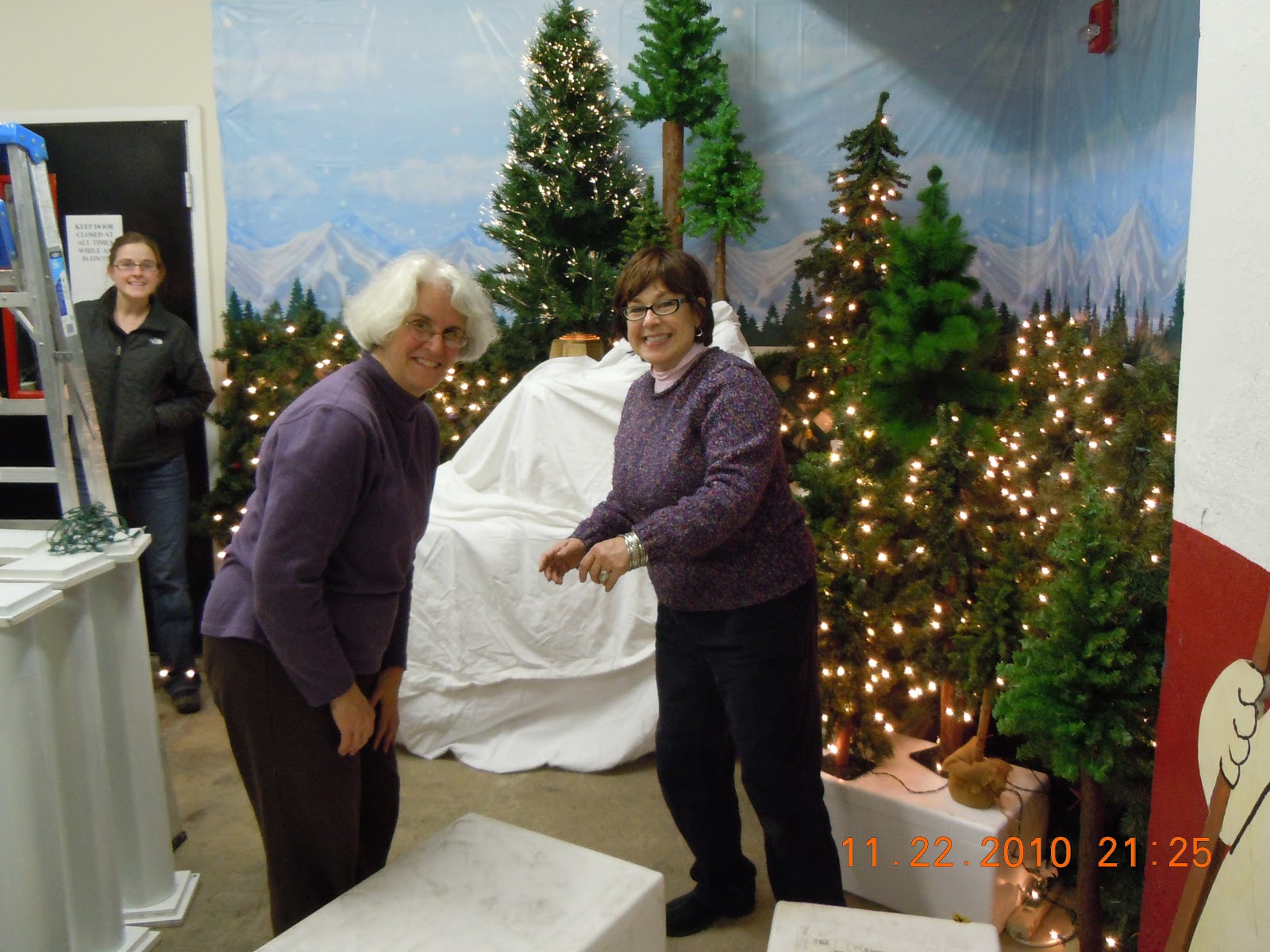 Highlandtown Train Garden : November 2010