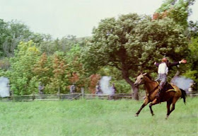 Dances With Wolves Cisco