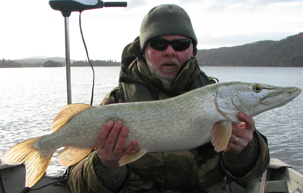 Pike Fishing UK: January 2011