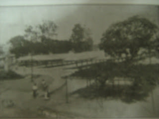 CONTECTÁNDOSE CON LA REALIDAD: UN RECORRIDO EN EL PARQUE COLON