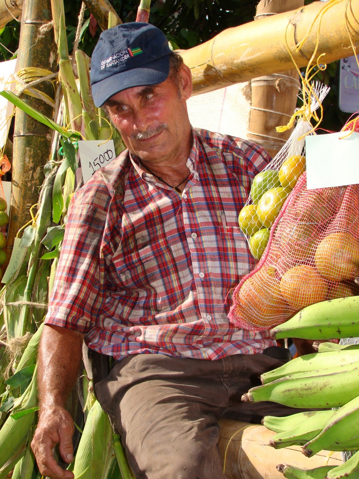 IDENTIDAD CULTURAL DEL MUNICIPIO DE SAN VICENTE DE CHUCURI: Perfil Del ...