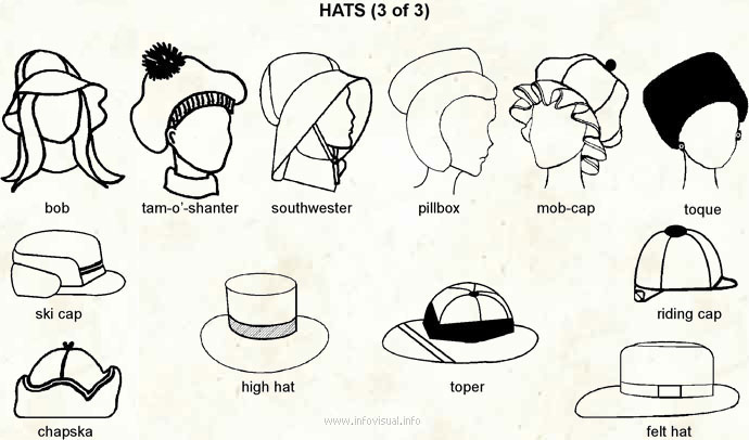 Fun and Facts with Kids: National Hat Day