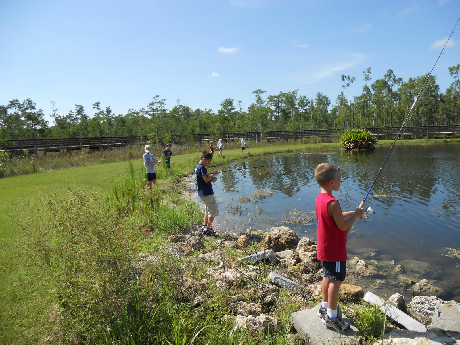 Stay In Touch With Collier County's Sea Grant Extension Program ...