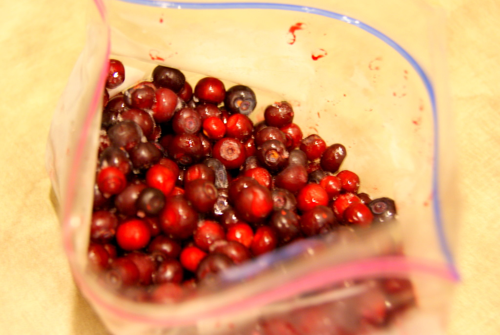 Alisa's Garden: Velvety Huckleberry Milk Shake