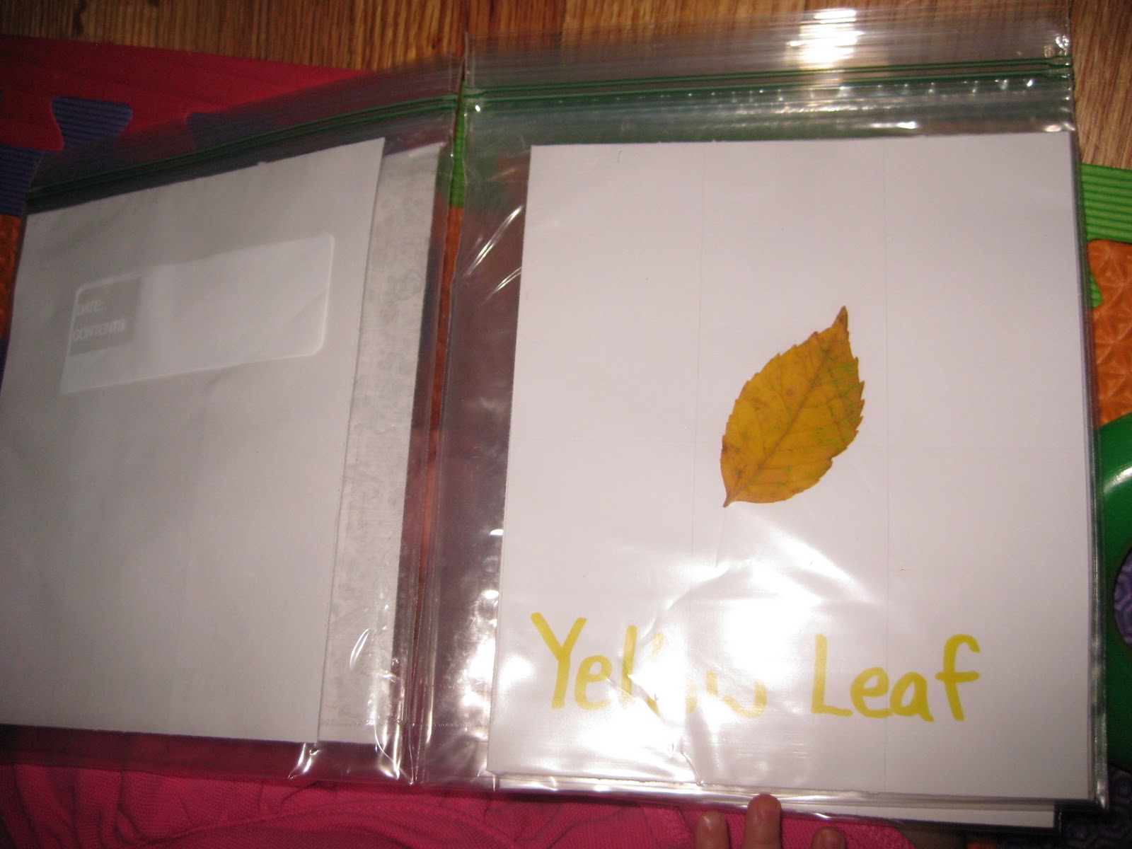 Tutor Mommy: Easy Fall Project: Make-Your-Own "Fall Leaves" Book