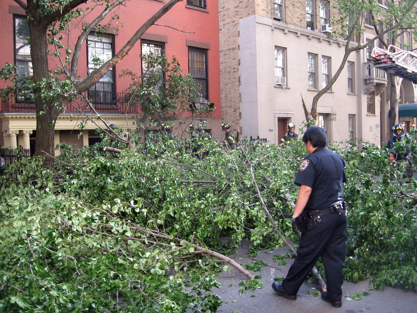 mcbrooklyn: Hell of a Wind Storm Downs Trees, Garbage Cans in Brooklyn ...
