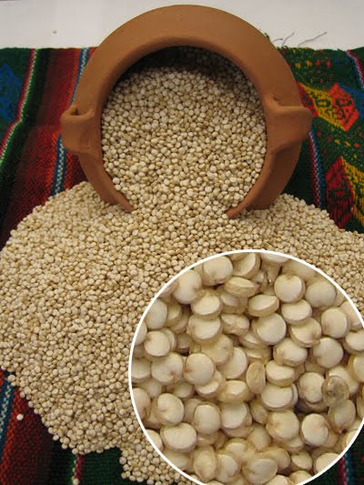 laenciclopedia: LA QUINUA (Origen, Valor Nutricional, Valor Medicinal ...